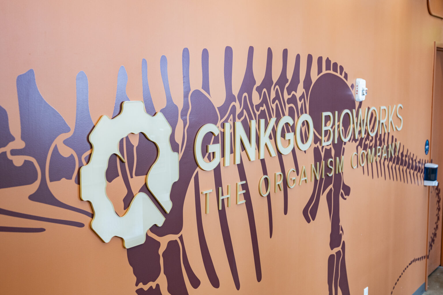 Ginkgo Bioworks – LLM Design