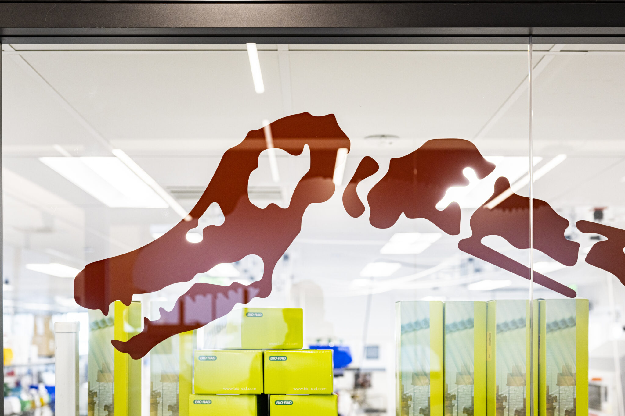 Ginkgo Bioworks – LLM Design